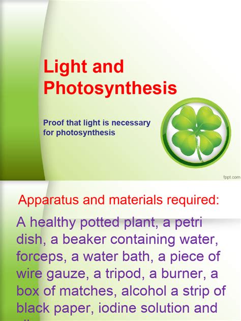 2023 Checkpoint Experiment Light And Photosynthesis Pdf