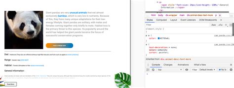 Что такое chrome devtools настройка и основные возможности