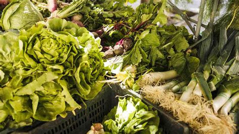 State Of The Art Management Of Hyperphosphatemia In Patients With Ckd