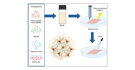 Mucin Based Dual Cross Linkable Ipn Hydrogel Bioink For 3d Bioprinting