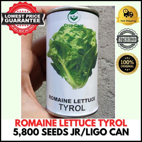Condor Seeds Romaine Lettuce Seeds Tyrol 5 800 Seeds Jr Can