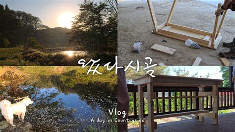 야외 테이블 만들고 강아지랑 노는 평화로운 시골 일상🌿 시골일상vlog Youtube
