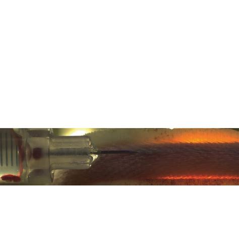 Appearance Of The Developed Robotic Mouse Tail Vein Injection System Download Scientific