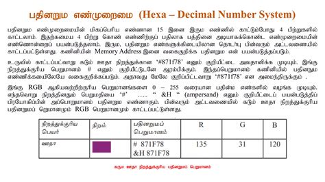 Data Representation Methods In The Computer System Ppt