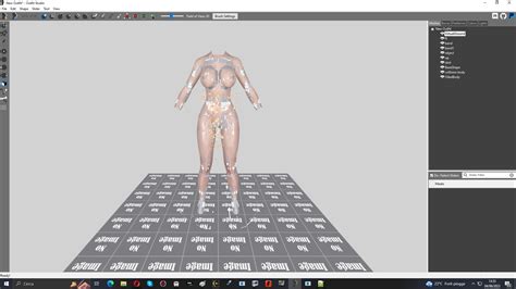 Jane Doe Kimono Bodyslide CBBE SMP Issue Skyrim Technical Support LoversLab