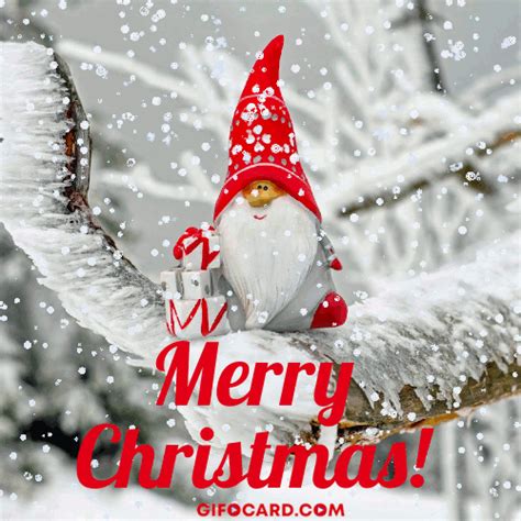 Christmas Funny S At Donald Cambron Blog