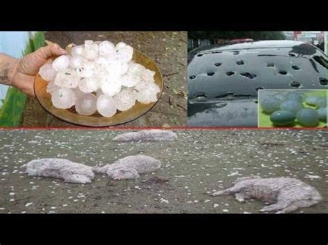 ပြင်းထန်တဲ့ မိုးသီးတွေရွာသွန်းခဲ့မှုကြောင့် များစွာပျက်စီးဆုံးရ