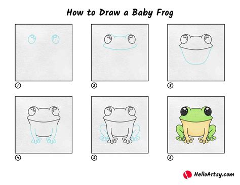 How To Draw A Frog Step By Step