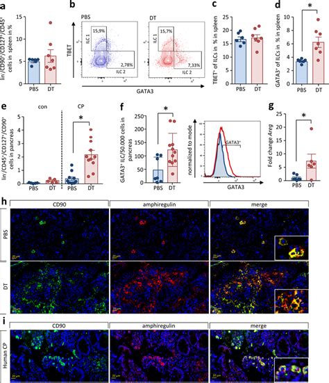 Ilc2 Are Suppressed By Regulatory T Cells Splenocytes Of Cp Animals