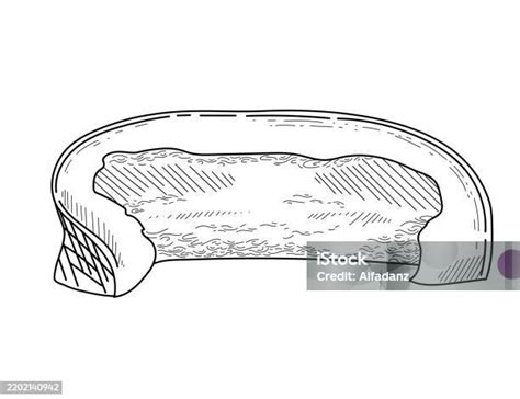 불가리아 고추 개요 손으로 그린 스타일 슬라이스 파프리카 고추 신선한 야채 벡터 일러스트 레이 션 흰색 배경에 절연 검은색에 대한 스톡 벡터 아트 및 기타 이미지 Istock