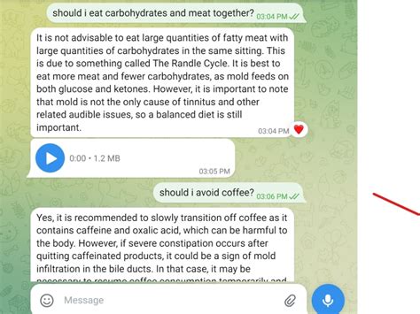 Ai Rag Telegram Voice Bot Upwork