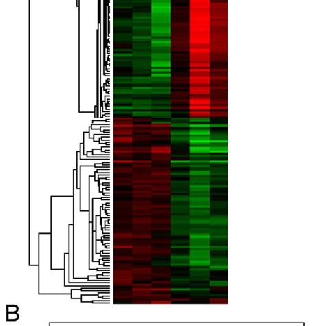 Unsupervised Hierarchical Clustering Analysis A And Principal