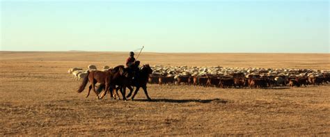 Малчин өрхийн 3 хүүхэд тутмын 2 нь эцэг эхийн хүлээсэн үүргийн дагуу