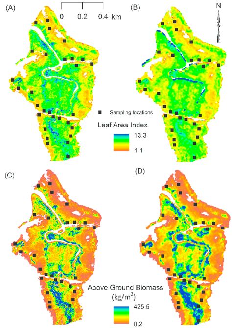 predicted maps a leaf area index with a 2 m spatial resolution b