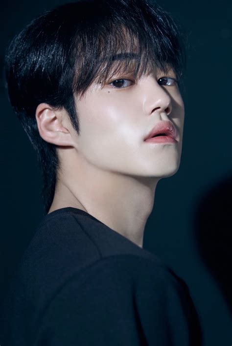 하이엔드 엔터테인먼트