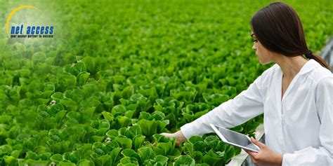 Maximizing Yield And Efficiency Exploring The Benefits Of Crop
