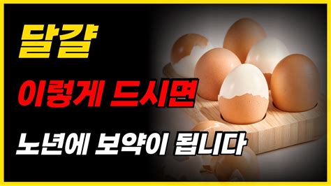 계란 매일 먹으면 생기는 몸의 변화 건강 음식 계란 Youtube