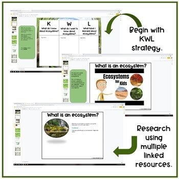 Ecosystems Unit For Google Slides Distance Learning By I Heart STEAM