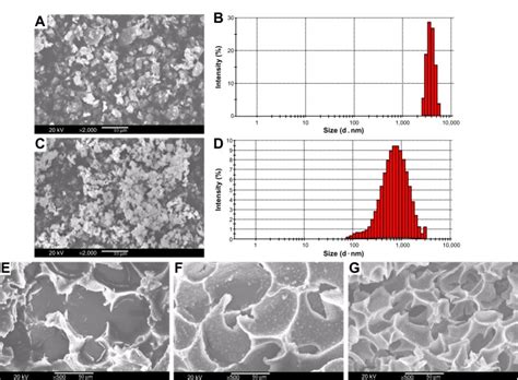scanning electron microscopic observations and particle size of g β tcp