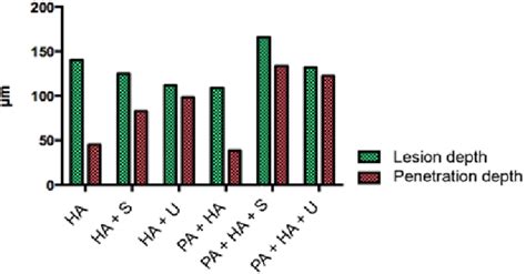 Lesion Depth And Penetration Depth In µm Of The Infiltrant Resin In Download Scientific