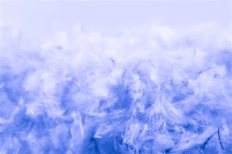 어둠 배경에 아름다운 추상 적 보라색과 파란색 깃털 프레임과 다채로운 부드러운 흰색 핑크 깃털 초상화 프레임 프레임 질감 0명에 대한 스톡 사진 및 기타 이미지 Istock