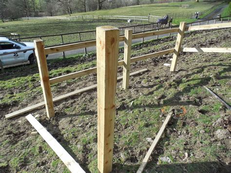 Central And East Lakes Rangers Tree Guards And Tree Planting The Howe Farm