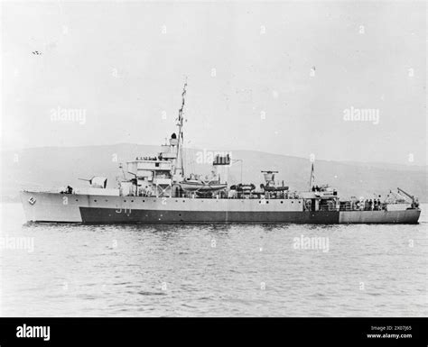 Hms Bramble British Algerine Class Minesweeper March To August 1945