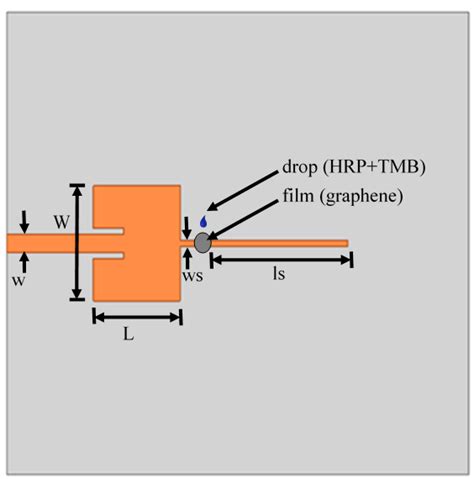Geometry Of The Sensor With The Functionalized Graphene Film