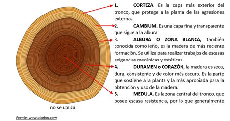 ¿cuáles Son Las 5 Propiedades Físicas De La Madera Maderiaes