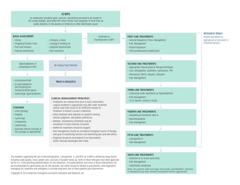 Ic Bladder Pain Syndrome Figure1 Algorithm Pdf Clinical Medicine