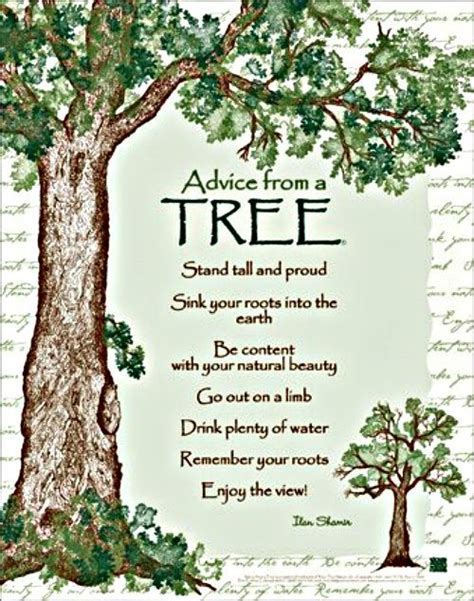 Tree Of Life Quotes Family Annemarie Shank