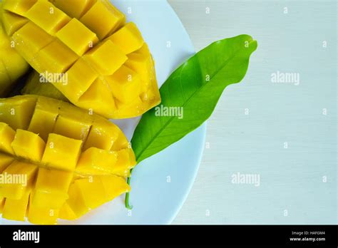 Mango Fruit Other Names Are Horse Mango Manera Foetida