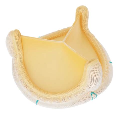 Alina Murgulet On Linkedin Cardiac Surgery Romania Medtronic