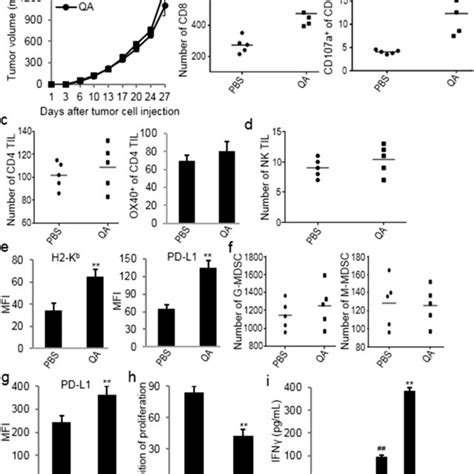 G Mdsc Significantly Increased In The Ct26 Tumor Bearing Mice And