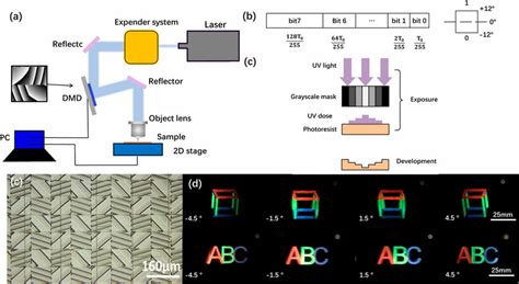 A Schematic Of 3d Laser Direct Writing B Pulse Width Modulation Download Scientific