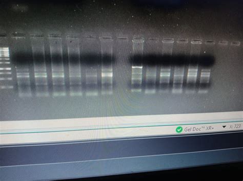 4718 Questions With Answers In Pcr Scientific Method