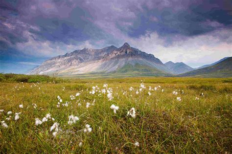 Alaskas Brooks Range And The Arctic Wilderness Secrets Touristsecrets