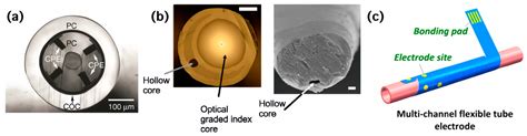 Biocompatible Electrical And Optical Interfaces For Implantable Sensors And Devices