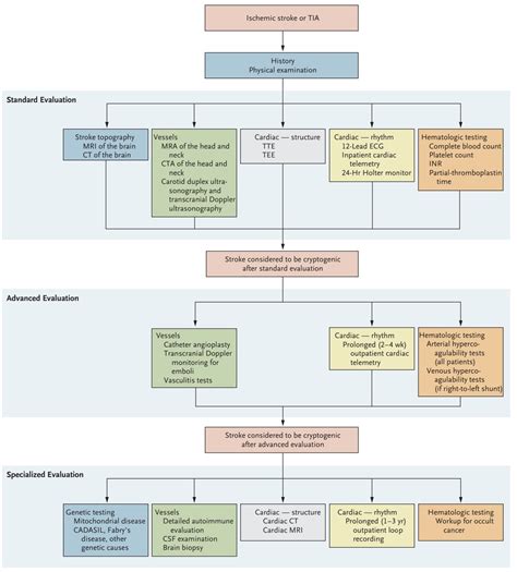 Stroke Trials On Twitter Algorithm For The Identification And Diagnostic Evaluation Of