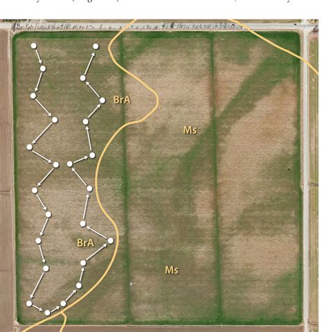 Field Sampling Plan At Irma Rushing Blog