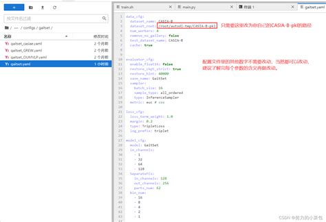 【使用opengait 复现步态识别经典算法 Gaitset ——casia B数据集】 Opengait如何使用 Csdn博客