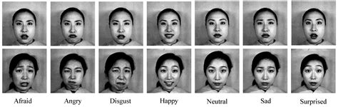 Facial Emotion Recognition Using Transfer Learning In The Deep Cnn