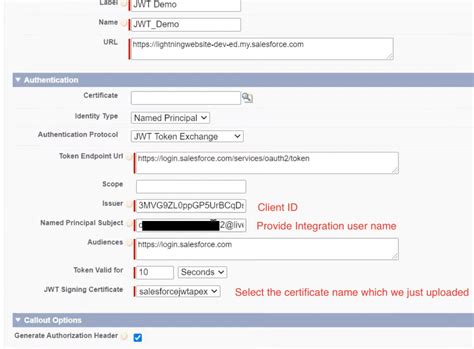 Salesforce Oauth 20 Jwt Bearer Flow Apex Hours