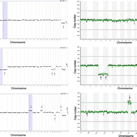 Representation Samples Of Copy Number Changes Observed In Samples Download Scientific Diagram