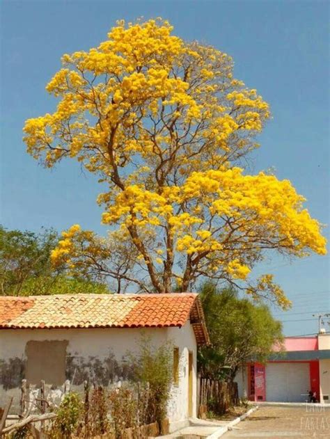 맘풍에 있는 Co Co님의 핀 자연 사진 수채화 풍경 생일 축하 그림