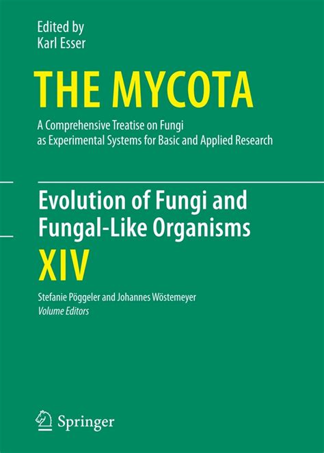 Evolution Of Fungi And Fungal Like Organisms Premiumjs Store