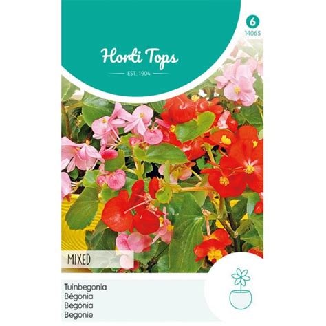 Mixed Garden Begonia Seeds Begonia Seeds • Tuinzaden Eu