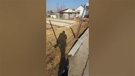 찾아가는서비스 전기공장공무 점심먹고 시골밭뷰 산책 Youtube