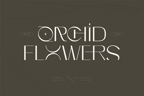 Counthills Modern Contemporary Display Typeface On Behance