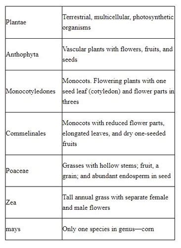Biol 1120 Chapter 23 Hw Flashcards Quizlet